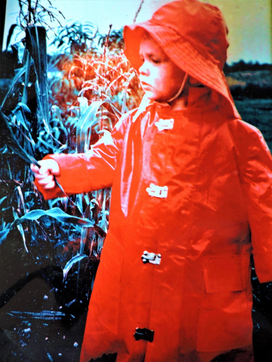 We’re All Amazing | Steve Bryant - Thoughts on Success, Music and Media